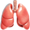 🫁 Lungs Emoji