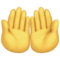 🤲 Palms Up Together Emoji
