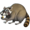 🦝 Raccoon Emoji