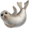 🦭 Seal Emoji