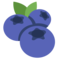 🫐 Blueberries Emoji
