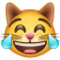 😹 Cat Face with Tears of Joy Emoji