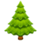 🌲 Evergreen Tree Emoji