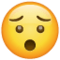 😯 Hushed Face Emoji