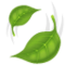 🍃 Leaf Fluttering in Wind Emoji
