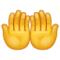 🤲 Palms Up Together Emoji