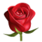 🌹 Rose Emoji
