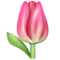 🌷 Tulip Emoji