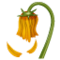 🥀 Wilted Flower Emoji