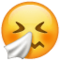 🤧 Sneezing Face Emoji