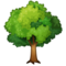 🌳 Deciduous Tree Emoji