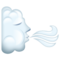 🌬️ Wind Blowing Face Emoji