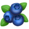 🫐 Blueberries Emoji