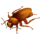 🪳 Cockroach Emoji