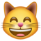😸 Grinning Cat Face with Smiling Eyes Emoji