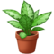 🪴 Potted Plant Emoji
